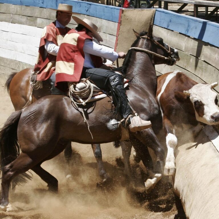Rodeo Talca